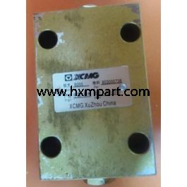 Crane Outrigger Two-way Hydraulic Lock